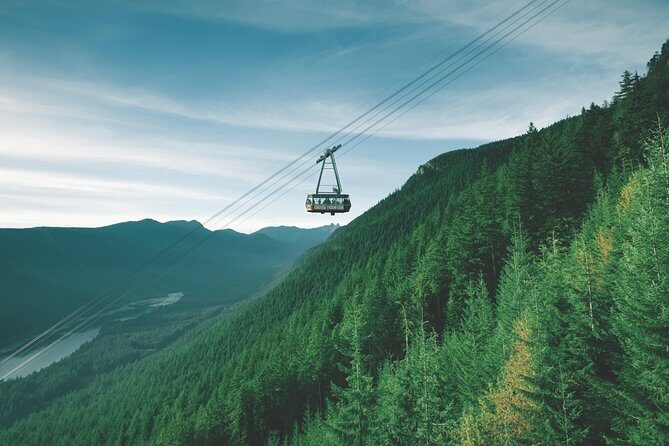 Best Of Vancouver Small-Group Tour w/Capilano + Grouse Mtn Lunch - An Overview of What Makes This Tour Stand Out