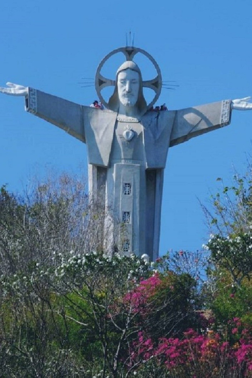 Best of Vung Tau Private Tour from Phu My Port - Who Should Consider This Tour?