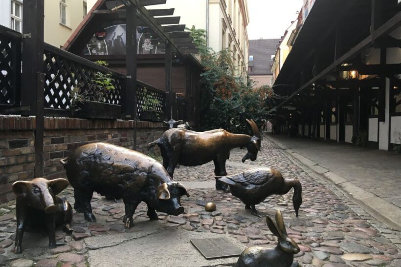 Best of Wroclaw 3-Hour History and Culture Walking Tour - A Detailed Look at the Tour Experience