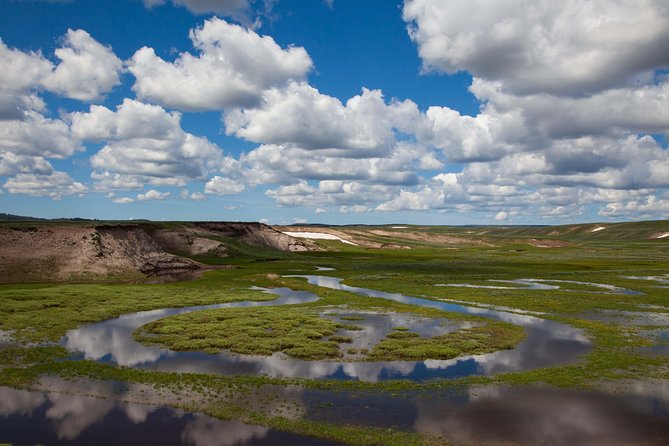 Best of Yellowstone - Guided National Park Safari Tour - Wildlife Viewing Opportunities