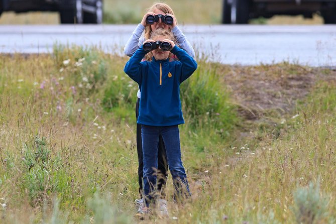 Best of Yellowstone - Guided National Park Safari Tour - The Small-Group Difference