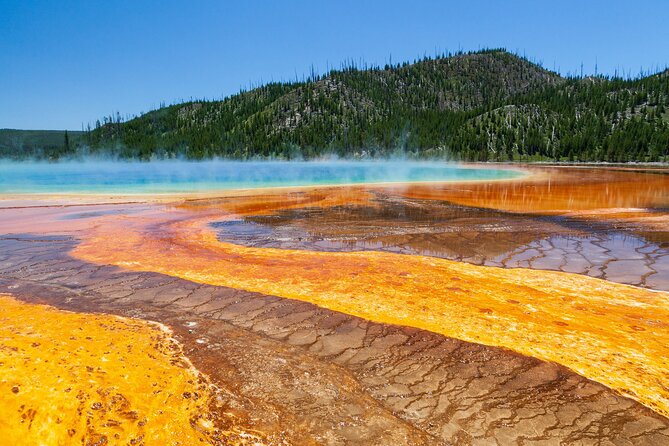 Best of Yellowstone Guided Tour From Bozeman - Private Tour - Whats Included in Your Tour Package