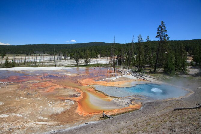 Best of Yellowstone Guided Tour From Bozeman - Private Tour - Accessibility and Booking Information