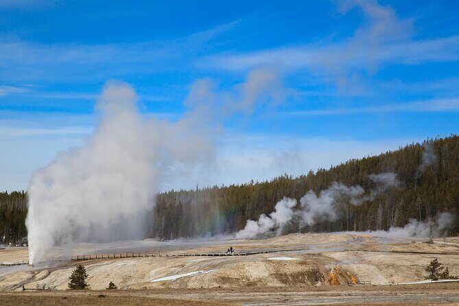 Best of Yellowstone National Park from Gardiner - Private Tour - Who Is This Tour Best For?