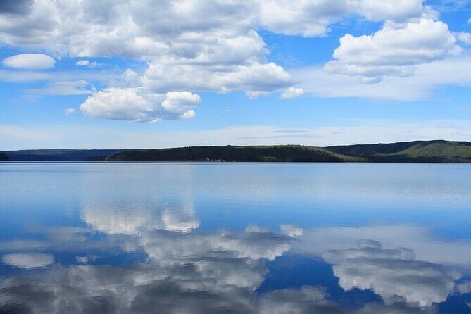 Best of Yellowstone Tour from Paradise Valley - Private Tour - What Sets This Tour Apart