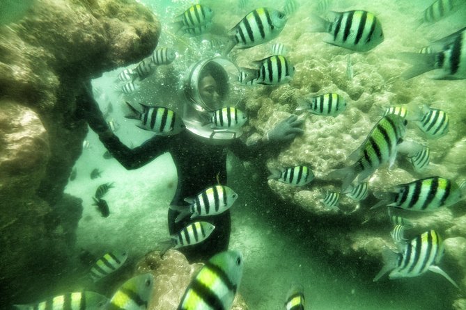 Best Package 3 in One Water Sport - FAQ