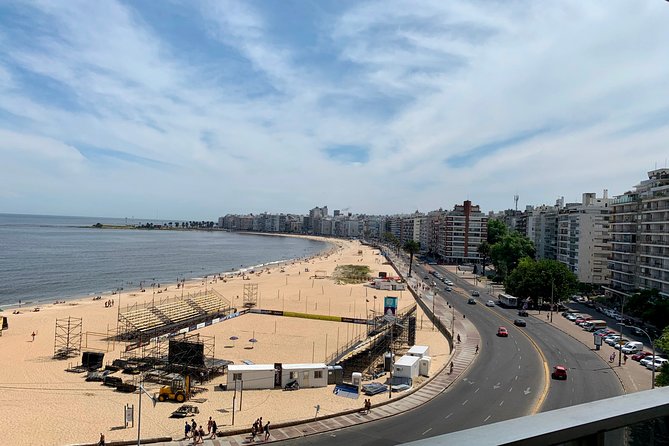 Best Private Montevideo Shore Excursion: City Tour. Optional WineTasting Tour. - Overview of the Private Montevideo Shore Excursion