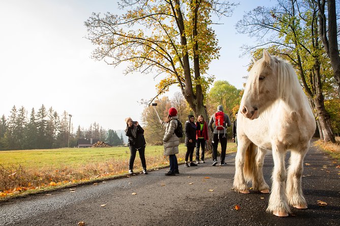 Best Reviews: Saxon and Bohemian Switzerland Day Trip from Prague - An In-Depth Look at the Tour