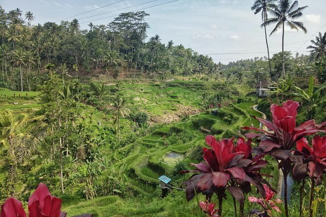 Best Selection Tour In Ubud-Bali - Who Is This Tour Best For?
