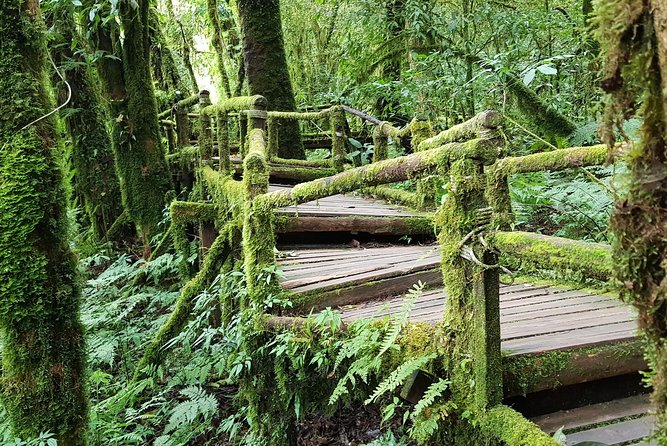 Best seller! Doi Inthanon National Park Oneday tour with the Highest point - Authentic Experiences and Common Travelers’ Feedback