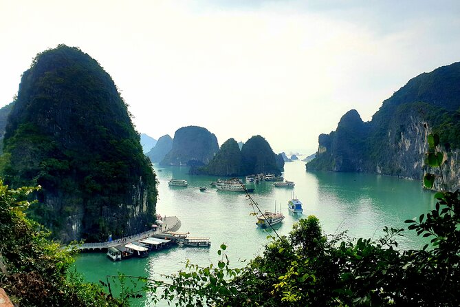 Best seller Halong bay 6 hours cruise - Visit to Hang Luon Cave and Kayaking