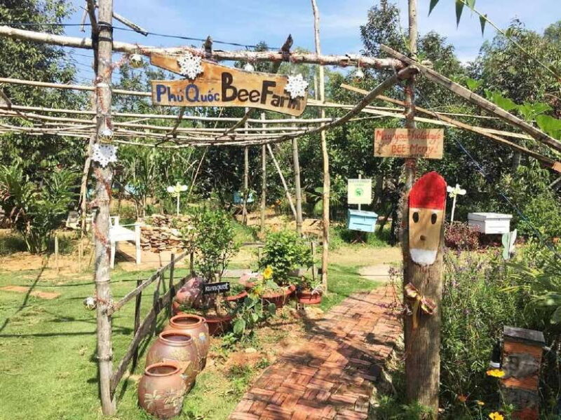 Best Seller Northern Phu Quoc & Kayak Aventure with lunch - Key Points