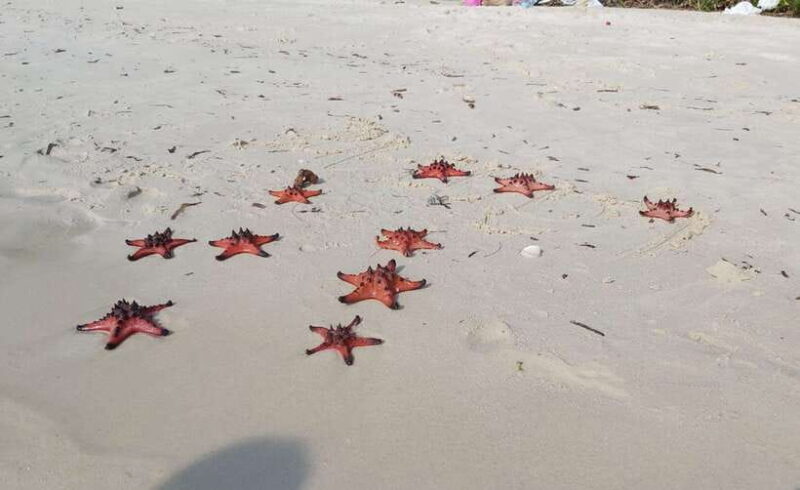 Best Seller Northern Phu Quoc & Kayak Aventure with lunch - Who Is This Tour Best For?