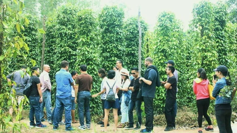 Best Seller South Phu Quoc Island Day Tour with Lunch - Key Points