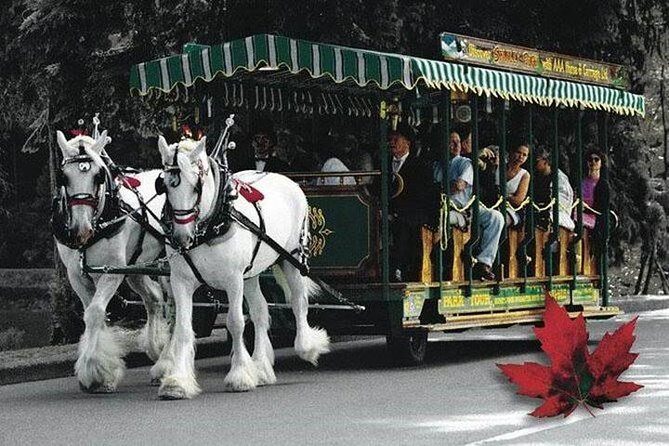 Best Selling Vancouver Sightseeing Tour 5 Hours(Private setting) - Final Thoughts