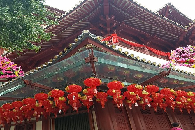 BEST Singapore Private City Tour by an Insider (1/2/3 x full-day) - How the Experience Works in Practice