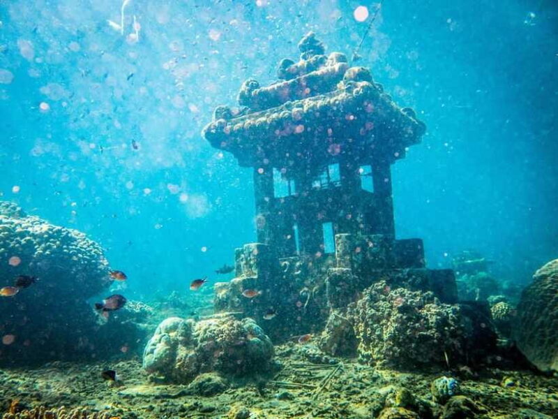 Best site for Course Diving in Amed - Who Will Love This?