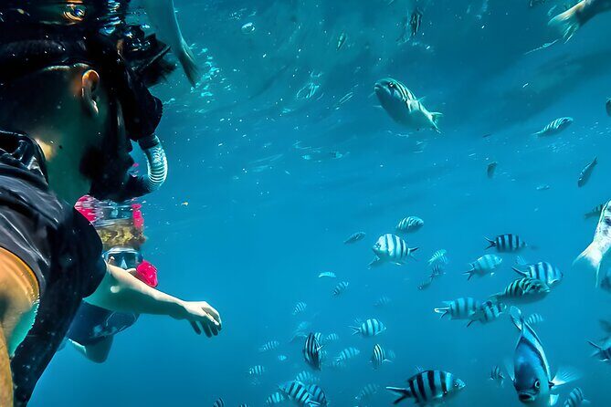 Best Snorkeling Activity in Blue Lagoon Beach Bali - An In-Depth Look at the Experience