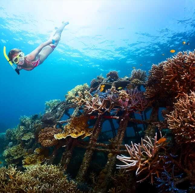 Best Snorkeling Adventure in Bali with Exciting Activities - FAQ