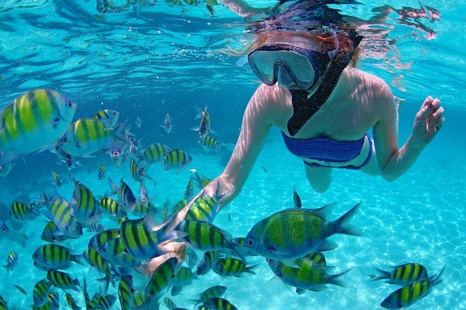 Best Snorkeling Trip at Blue Lagoon Bali - Who Will Love This Tour?