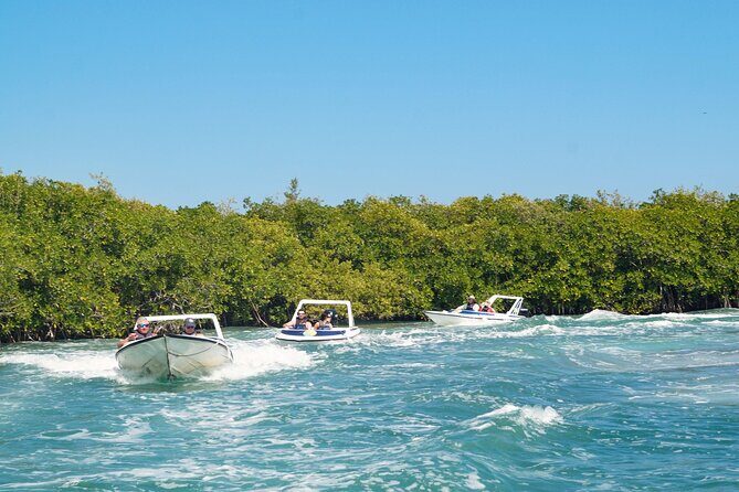 Best SpeedBoat and Snorkeling tour with Transfer from Cancun - The Value Proposition