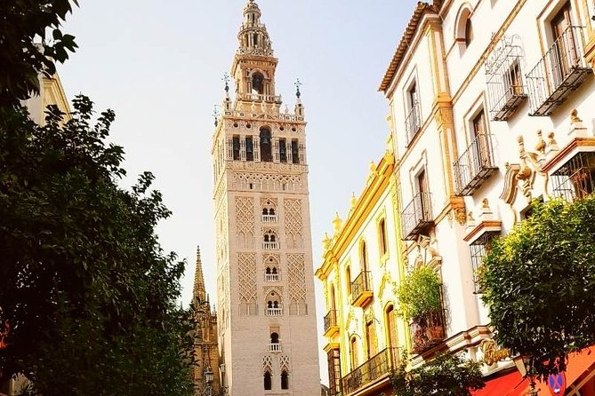 Best Tapas Tours - Where the locals have tapas - Who Will Benefit Most?