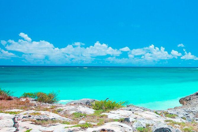 Best Tour to Tulum, Coba and Playa Del Carmen. No hidden fees! - Transportation and Convenience