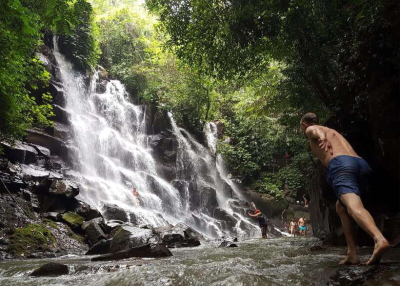 Best Ubud Rice Terrace, Waterfall, Temple Private Transfers - Who This Tour Is Best For