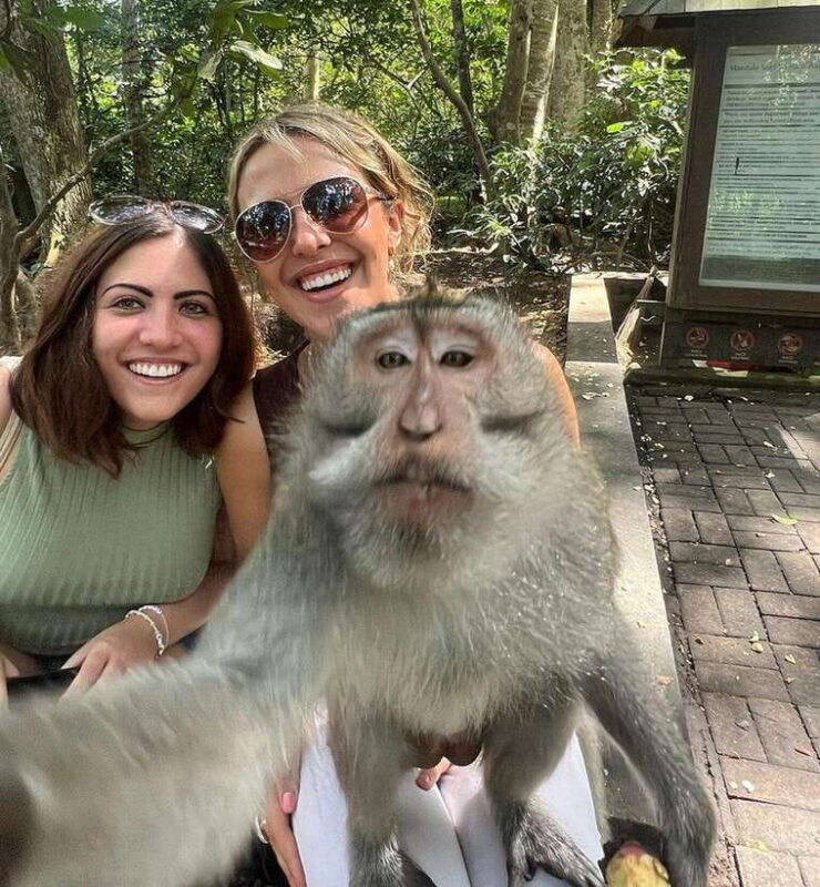 Best Ubud Tour - Ubud Instagramable Tour - Pricing and Value Analysis