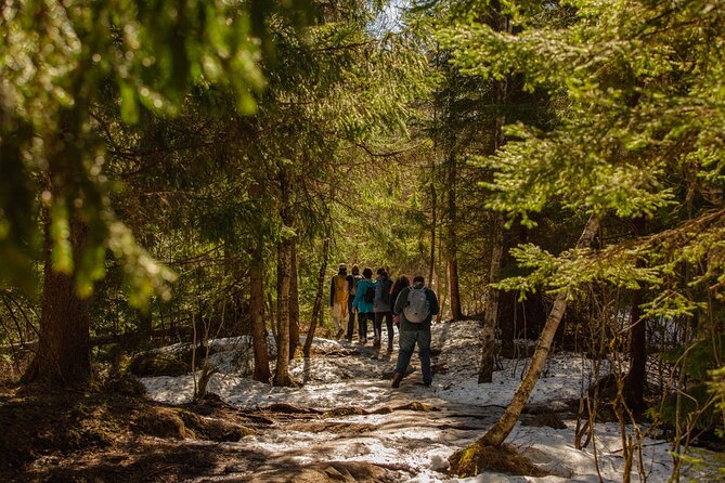Best View of the Oslofjord Hike - Traveler Feedback and Experiences