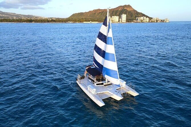 Best Waikiki Whale Watching in Honolulu: Whales Guaranteed - Final Thoughts: Who Is This Tour Best For?