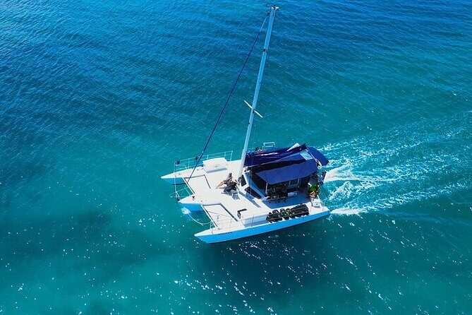 Best Waikiki Whale Watching in Honolulu: Whales Guaranteed - Frequently Asked Questions