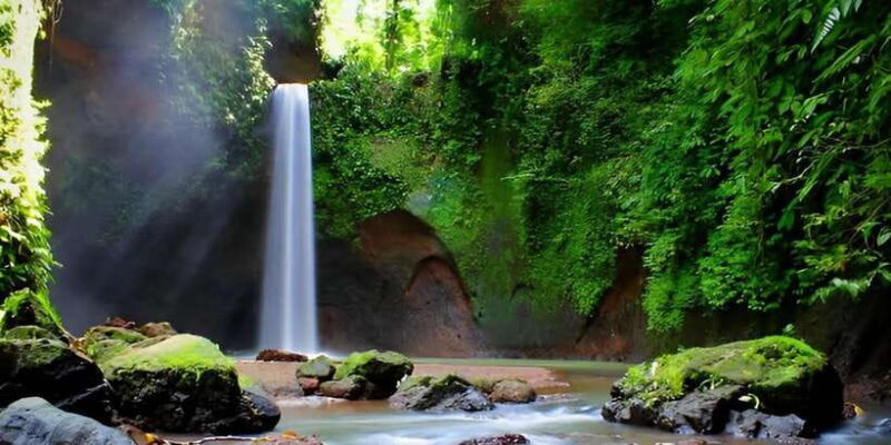 Best Waterfall Tour & Bali Swing - Key Points