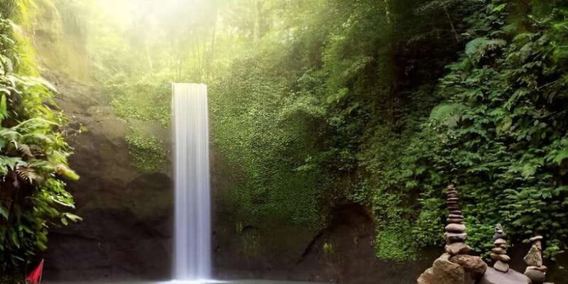 Best Waterfall Tour & Bali Swing - Practical Aspects of the Tour