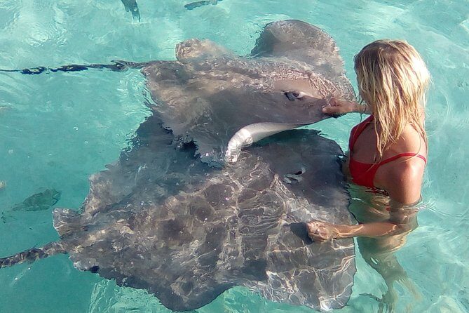 Best Way to Interact with Ocean Wildlife with Lunch. 6H - FAQs