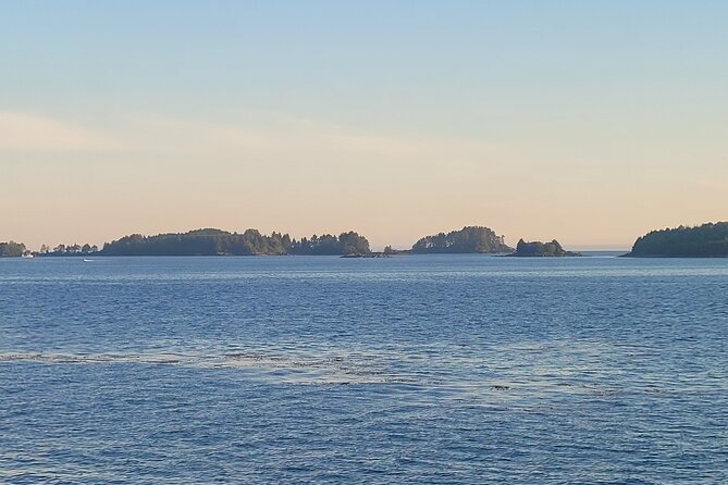 Best Whale Watching and Wildlife Shore Excursion in Sitka - Recommendations for Travelers