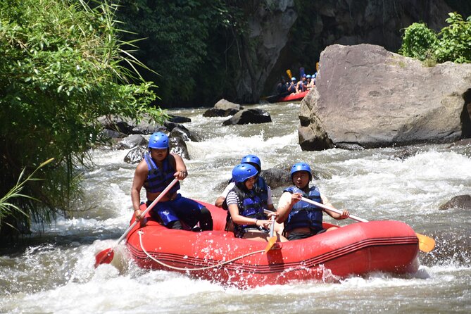 Best White Water Rafting, Ubud - What to Expect from the Ubud White Water Rafting Tour