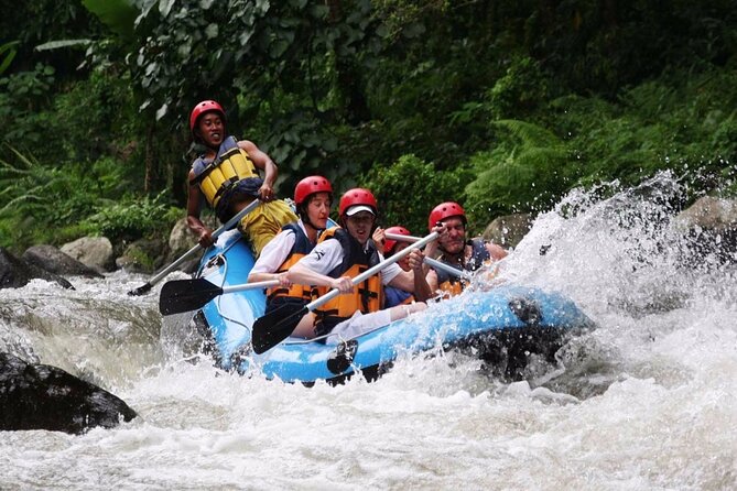 Best White Water Rafting with Lunch and Private Transfer in Bali - A Full Breakdown of the Experience