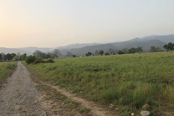 Best Wilderness Experience through Jim Corbett Experience - What to Expect During Your Jungle Safari