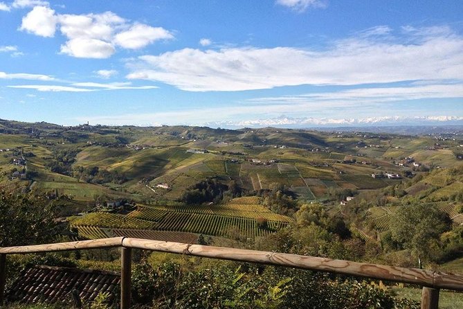 Between Langhe and Monferrato Review - Meeting the Friendly Host