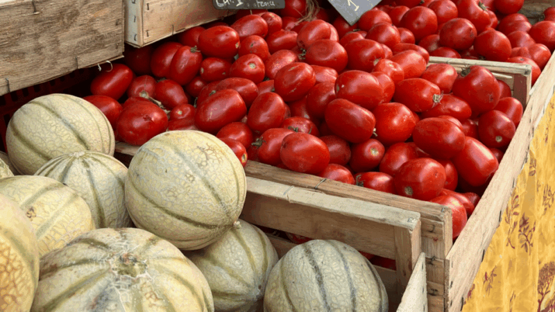 Between sea and hills: in the footsteps of Allauch, Aix, Marseille - FAQ