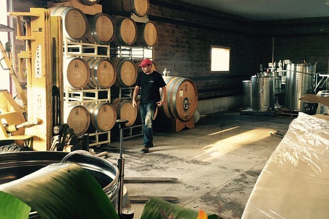 Between The Lines Classic Wine Tasting - Final Thoughts: Is This Tour Worth It?