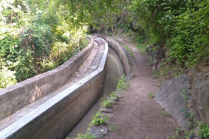 Between Tunnels and Bats - Who Will Love This Tour?