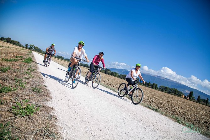 Bevagna E-Bike Farm to Table - Biking Through Vineyards and Olive Groves