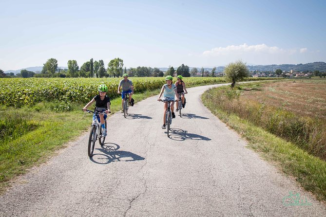 Bevagna E-Bike & Wine Tour - Savoring the Picnic Lunch in a Scenic Setting