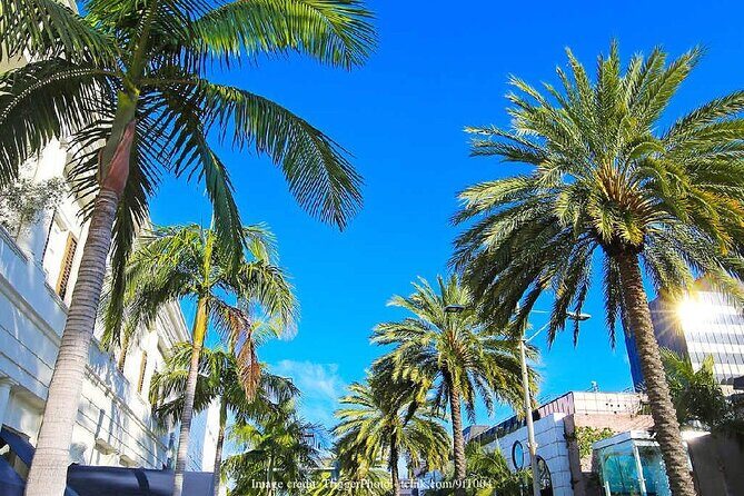Beverly Hills & Rodeo Drive: Private 2-hour Walking Tour - Who Is This Tour Best For?