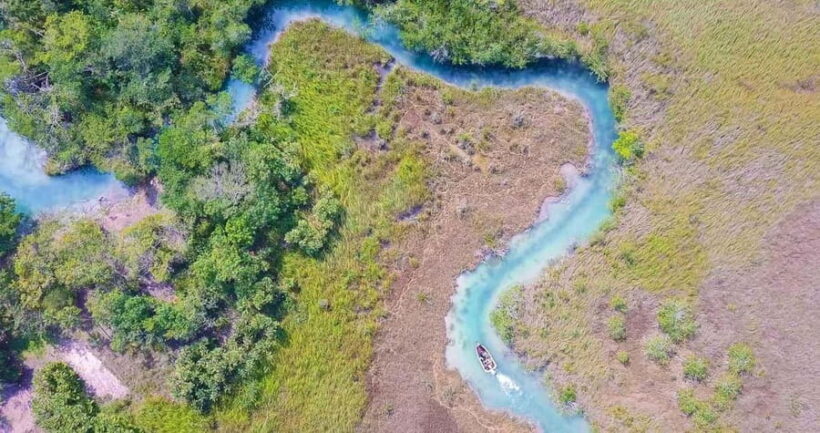 Beyond Bacalar: Private Cruise on the Pirate Route + Slow River + Lunch - The Experience in Detail