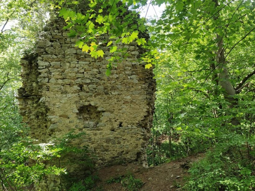 Beyond Brno: Secrets of Moravian Nature - Half-Day Tour - The Value of This Tour