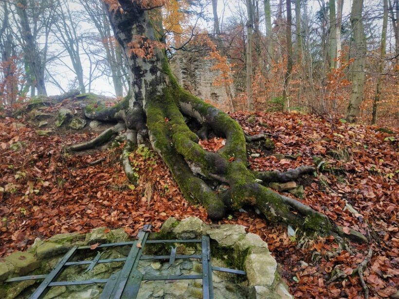 Beyond Brno: Secrets of Moravian Nature - Half-Day Tour - Frequently Asked Questions