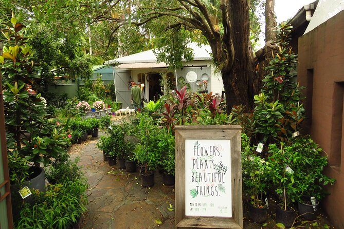Beyond Byron Hinterland Tour - Key Points